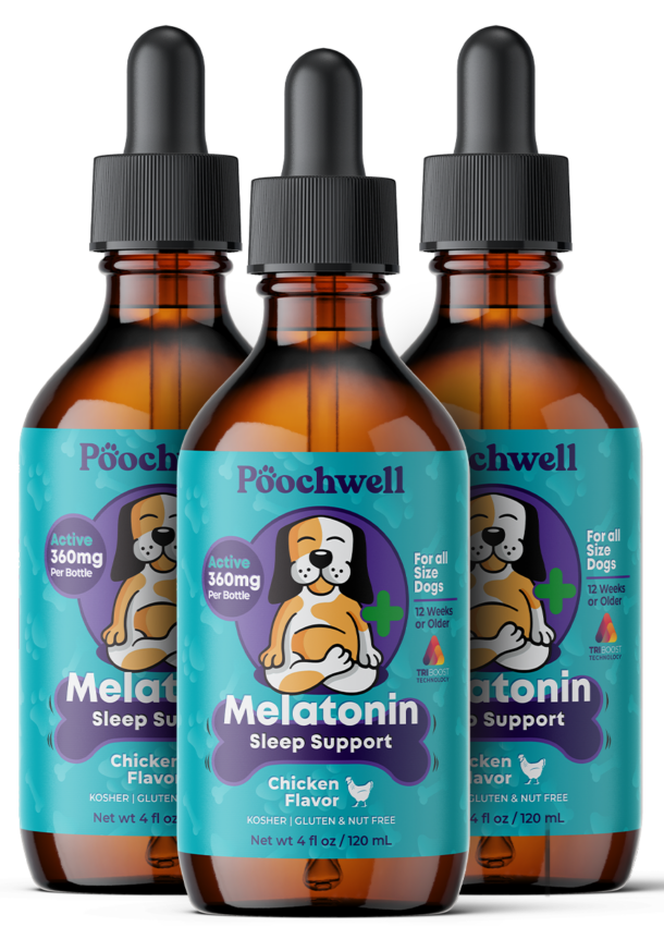 Comparing Natural and Synthetic Melatonin for Dogs - Poochwell